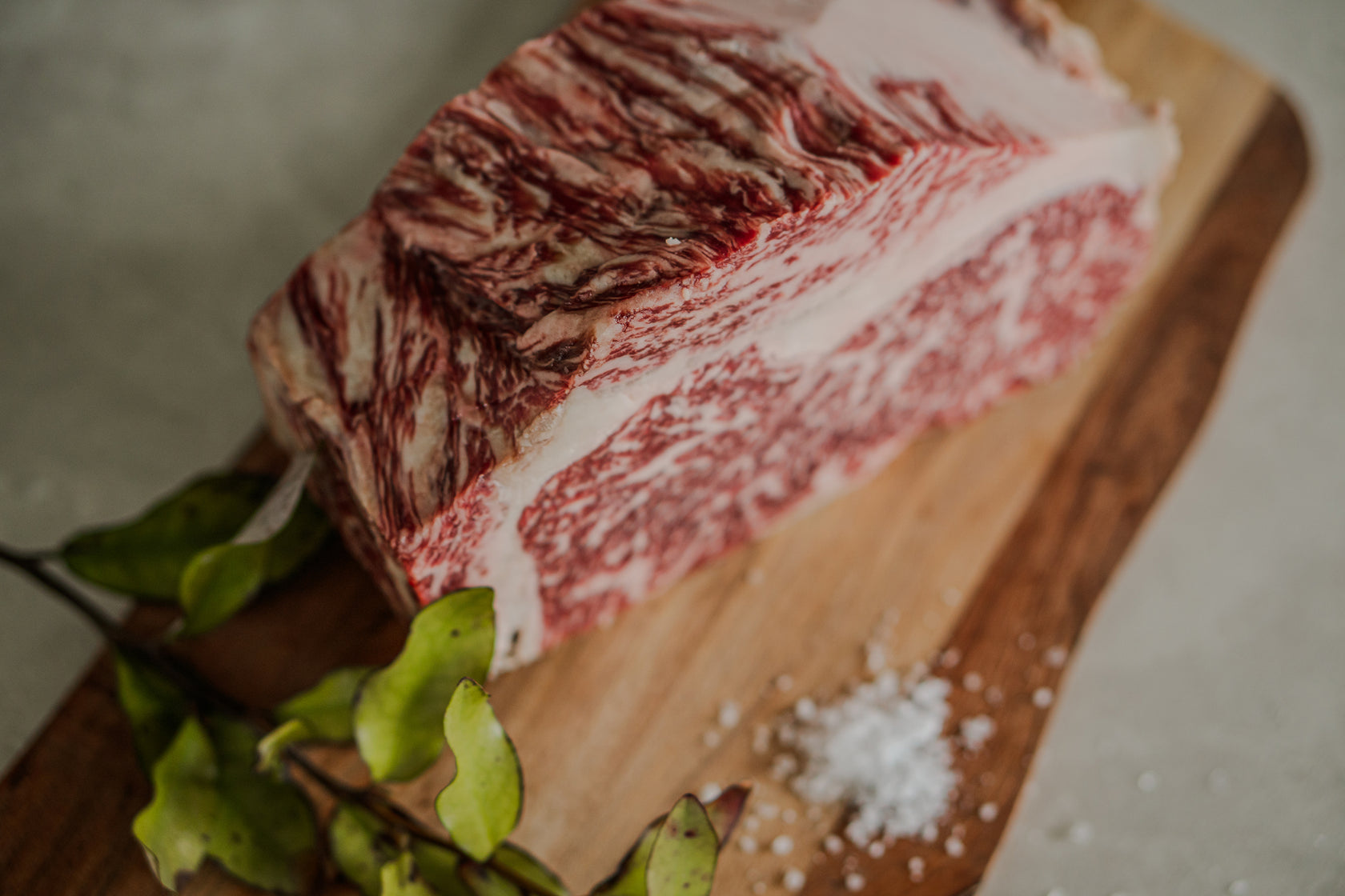 Ribeye Steak/Scotch Fillet – Black Origin